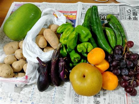 夏野菜 八重さんのダイアリー