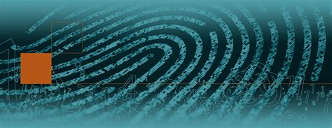 Australias Digital Identity Ecosystem Progue Professional Guidance