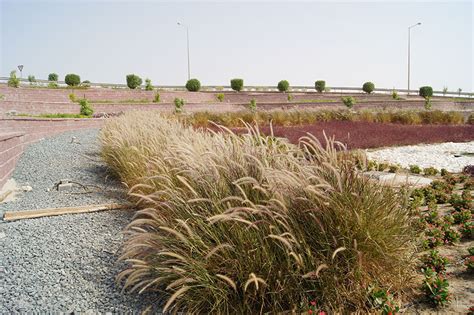 Qp Dukhan Operations Ag Middle East