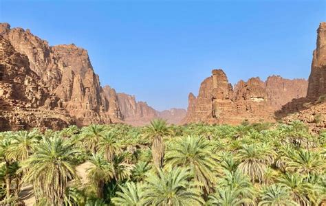 Tabuk Images Free Download On Freepik