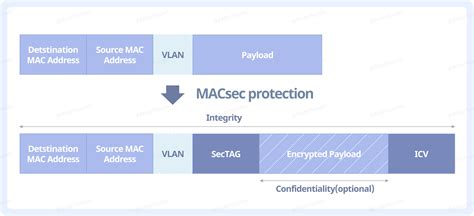 What Is Macsec And How Does It Work