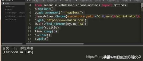 Selenium超级详细的教程 Csdn博客