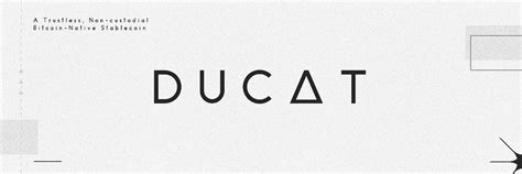The Ducat Protocol A Comprehensive Overview By Ranzjovanz Medium