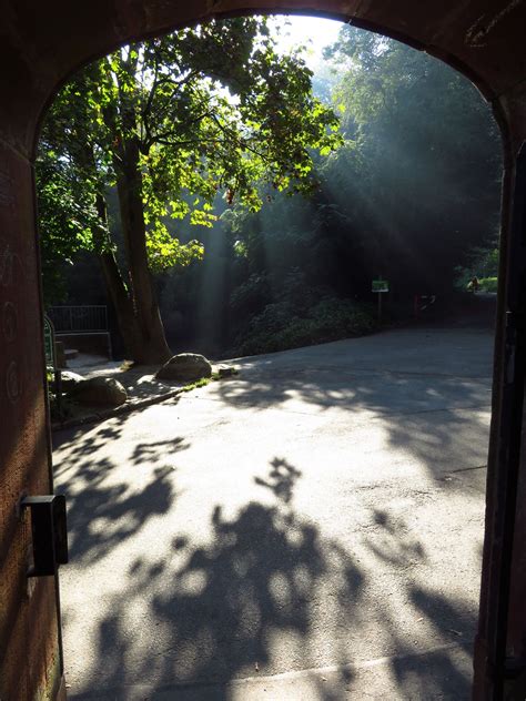 Tor Ins Licht Ich Bin Viele