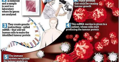 Great News “incurable Cancer Treated By New Personalised Mrna