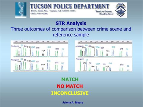 Ppt Forensic Dna Analysis Jelena A Myers Senior Criminalist Dna