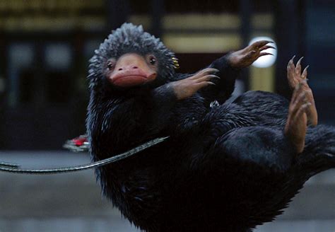 Niffler Official Harry Potter Encyclopedia