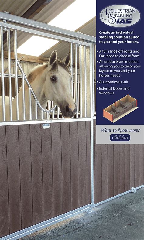 How To Win A Working Hunter Class Horse And Rider