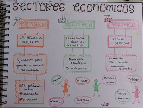 Los 5 Sectores Econmicos De La Economa Actividades Sectores