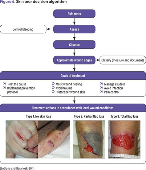 Skin Tear Classification