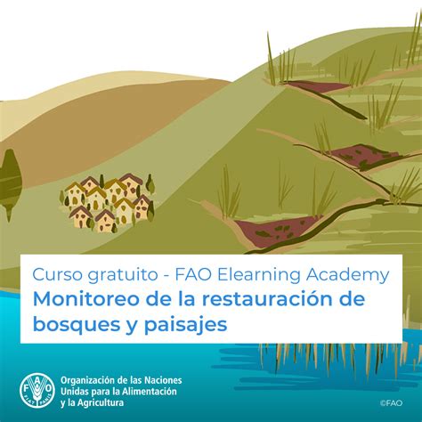 Curso Gratuito Monitoreo De La Restauración De Bosques Y Paisajes Fao Elearning Academy