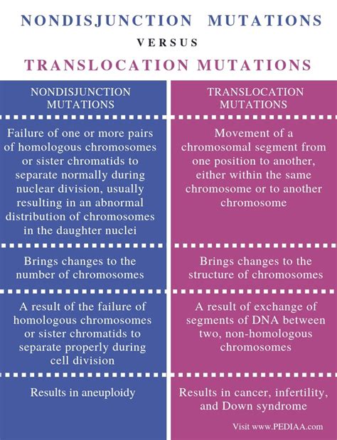 What Is The Difference Between Nondisjunction And Translocation Mutations Pediaa Com