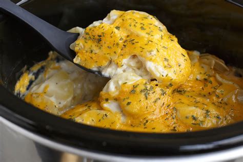 Embracing Culinary Convenience 5 Reasons To Invest In A Multi Cooker