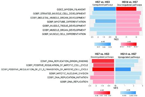 The Fast Gene Set Enrichment Analysis Fgsea Of All Identified Genes Download Scientific