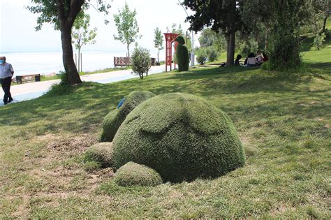 Grass Figures Polingroupgr