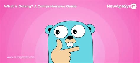 What Is Golang A Guide To The Go Programming Language