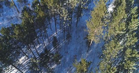 Report Minnesota On Track To Meet Greenhouse Gas Reduction Goals For First Time Cbs Minnesota