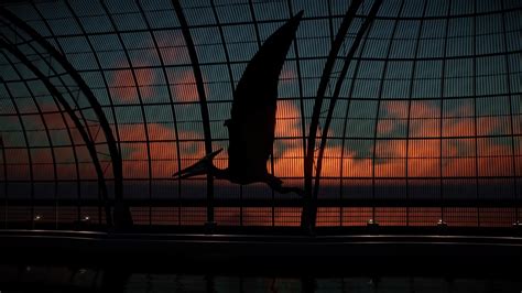 Just Some Of My Fav Screenshots R Jurassicworldevo