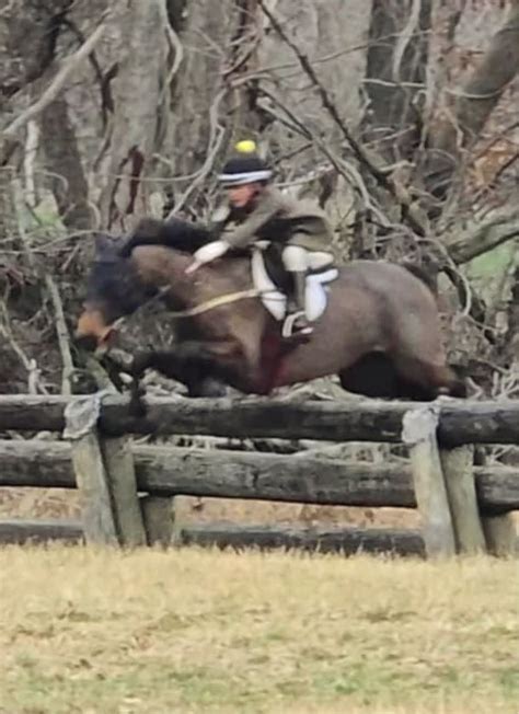 Rerun Thoroughbred Adoption Rerun Thoroughbred Adoption