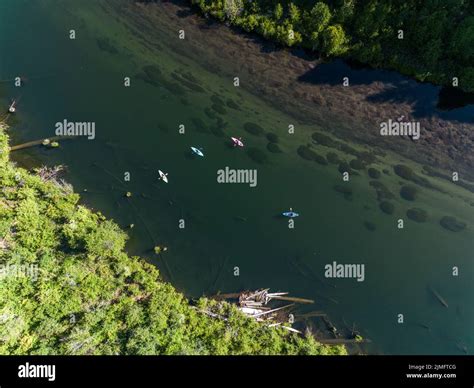 Aerial View Of A Group Of Friends Kayaking The North Fork Of The Rogue