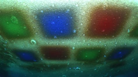 Antarctic Algae Research Earns Nzs Stamp Of Approval Aceas