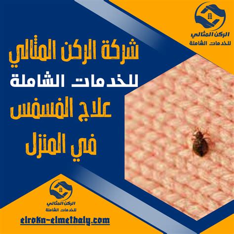 علاج الفسفس في المنزل شركة الركن المثالي