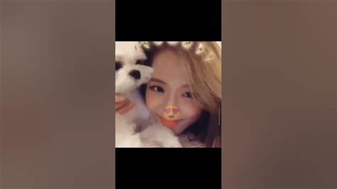 Jisoo With Dalgom Is So Cute Blackpink Kpop Jisoo Dalgom Youtube