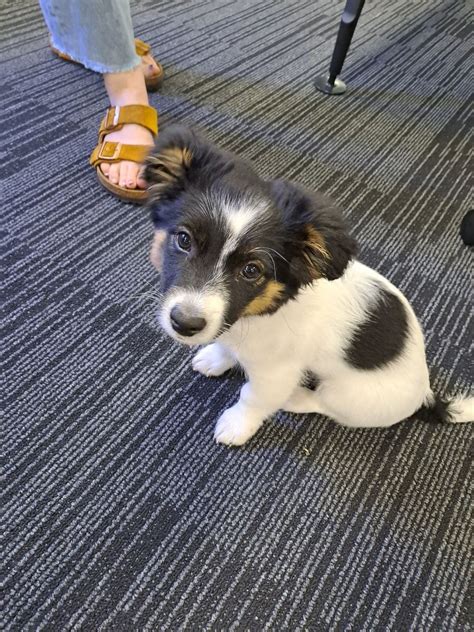 Still Learning How To Manipulate Large Data Sets And Make It To Meetings On Time But Its Early