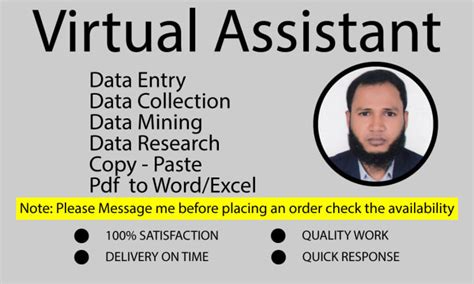 Virtual Assistant Data Entry Web Research Data Maining By Mdzia6610