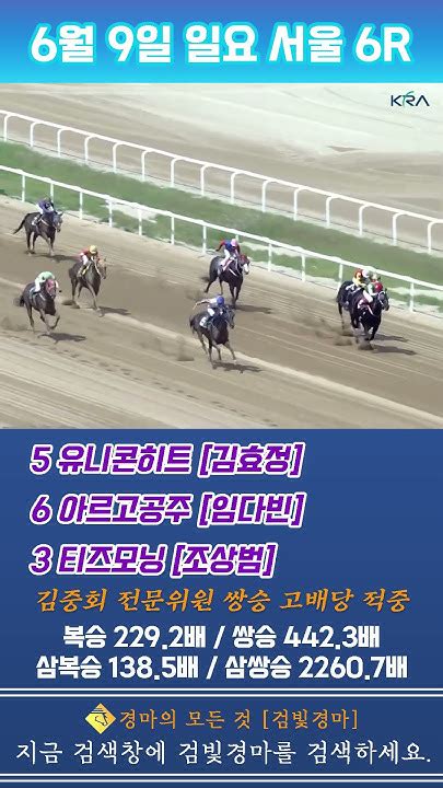 서울 6월 9일 일요 6경주 김중회 쌍승 고배당 적중 고배당 Automobile 쌍승 Youtube