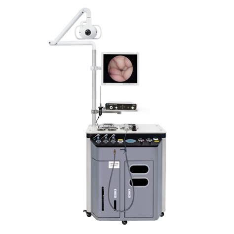 Ent Endoscope Set At Emerita Yamamoto Blog