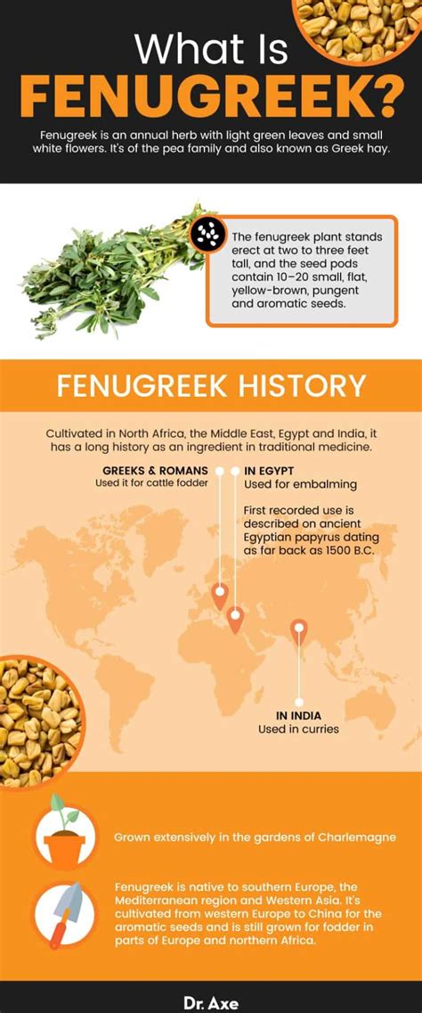 Fenugreek Benefits Uses And Side Effects Of This