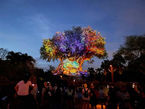 Download Captivating Tree Of Life Illustration