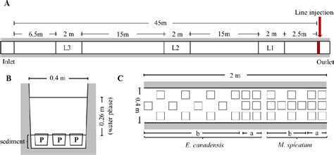 Figure 1 From Effects Of Pesticides To Macrophytes And