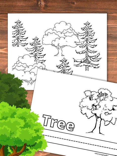 Printable Tree Coloring Pages 2025