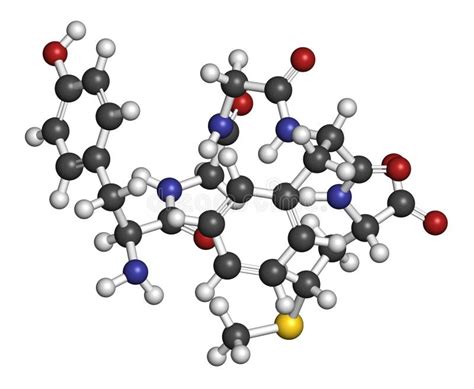 Enkephalin Met Enkephalin Molecule Stock Illustration Illustration