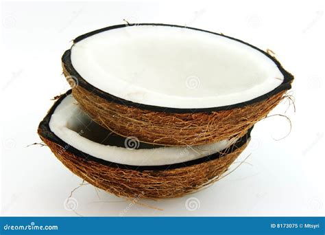 Coco Shell Stock Image Image Of Shot Horizontal Object 8173075