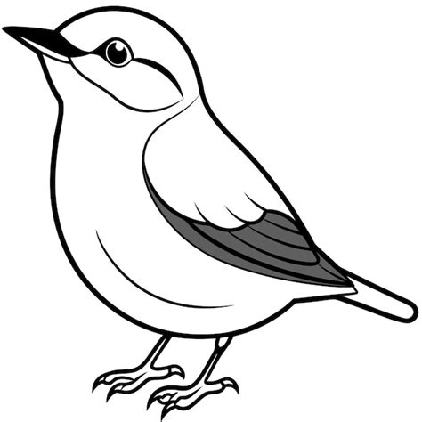 Premium Vector Eurasian Nuthatch Bird Smiles Icon Vector