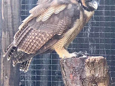 2023年10月how Caple旅游景点攻略 How Caple旅游住宿 How Caple旅游美食 猫途鹰