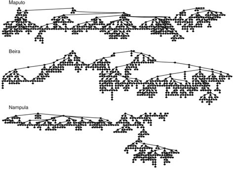 Respondent Driven Sampling Peer Referral Recruitment Chains Of Men Who