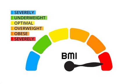 Premium Vector Bmi Categories Chart Body Mass Index And Scale Mass