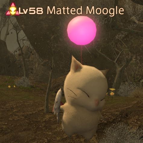 Matted Moogle Mob Gamer Escapes Final Fantasy Xiv Ffxiv Ff14 Wiki