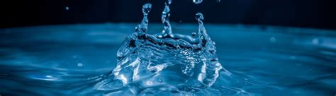 Laura Den Dulk Work Life Research