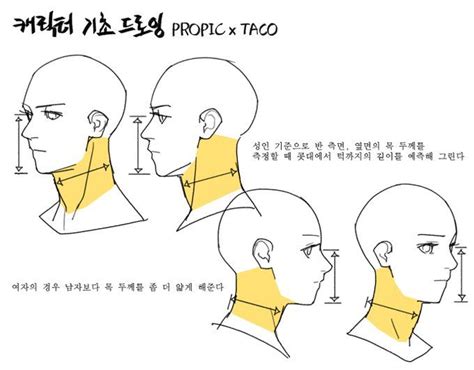 20 타코작가 Taco1704 Twitter Tutorial De Dibujo Tutorial De Anatomía Tutoriales De Dibujo