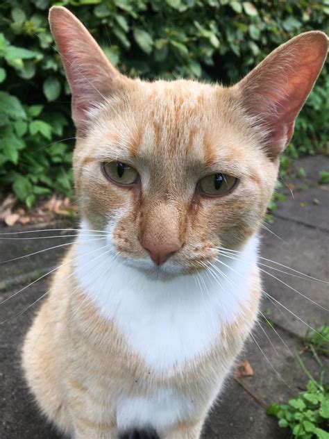 Attending A “tupperware Party” For Sex Toys Was A Surprisingly