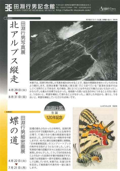 田淵行男細密画展「蝶の道」 安曇野文化財団