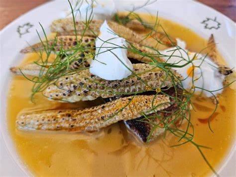 אבנר מבקר מעבד מזון או אבנר מבקר