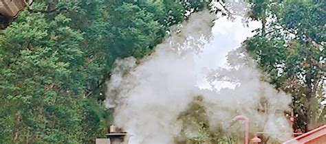 Puffing Billy And Moonlit Sanctuary Day Tour Klook India