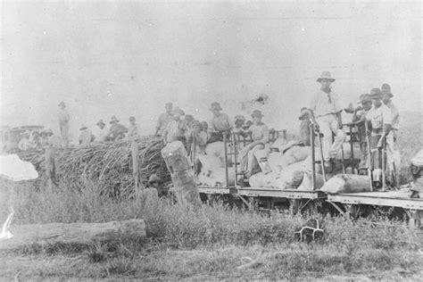 Australian South Sea Islanders Push To Record History Of Homebushs Old