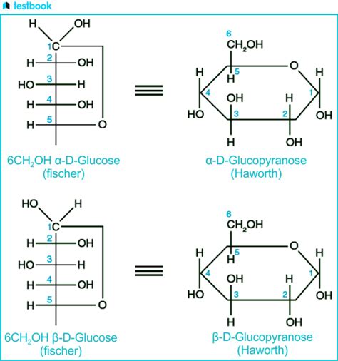 Glucose Structure Understanding Different Forms Open Chain Formula